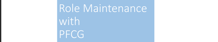 PFCG Roles – Authorizations Part I – SAP Authorization Universe